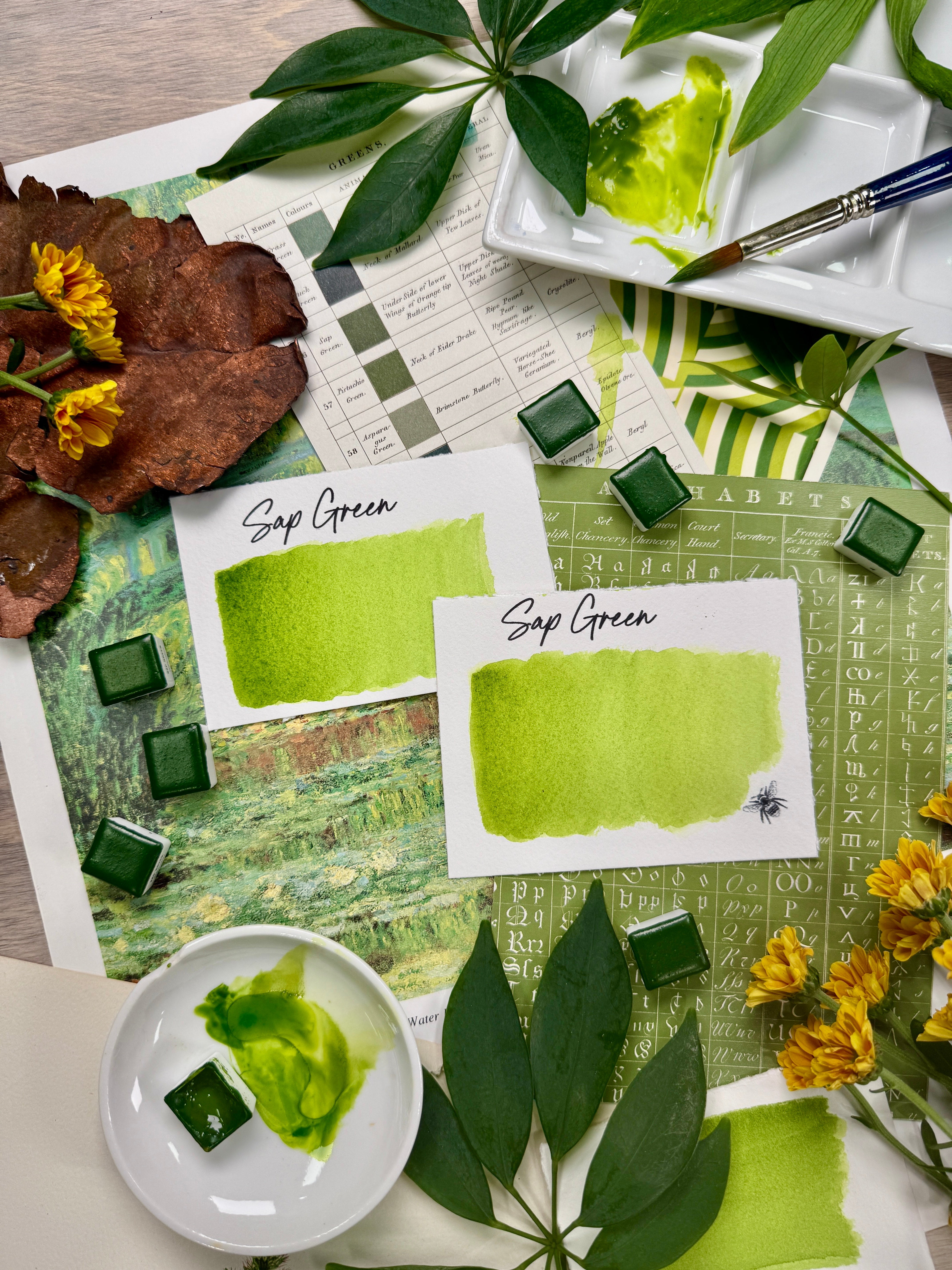 Sap Green – Stoneground Paint Company
