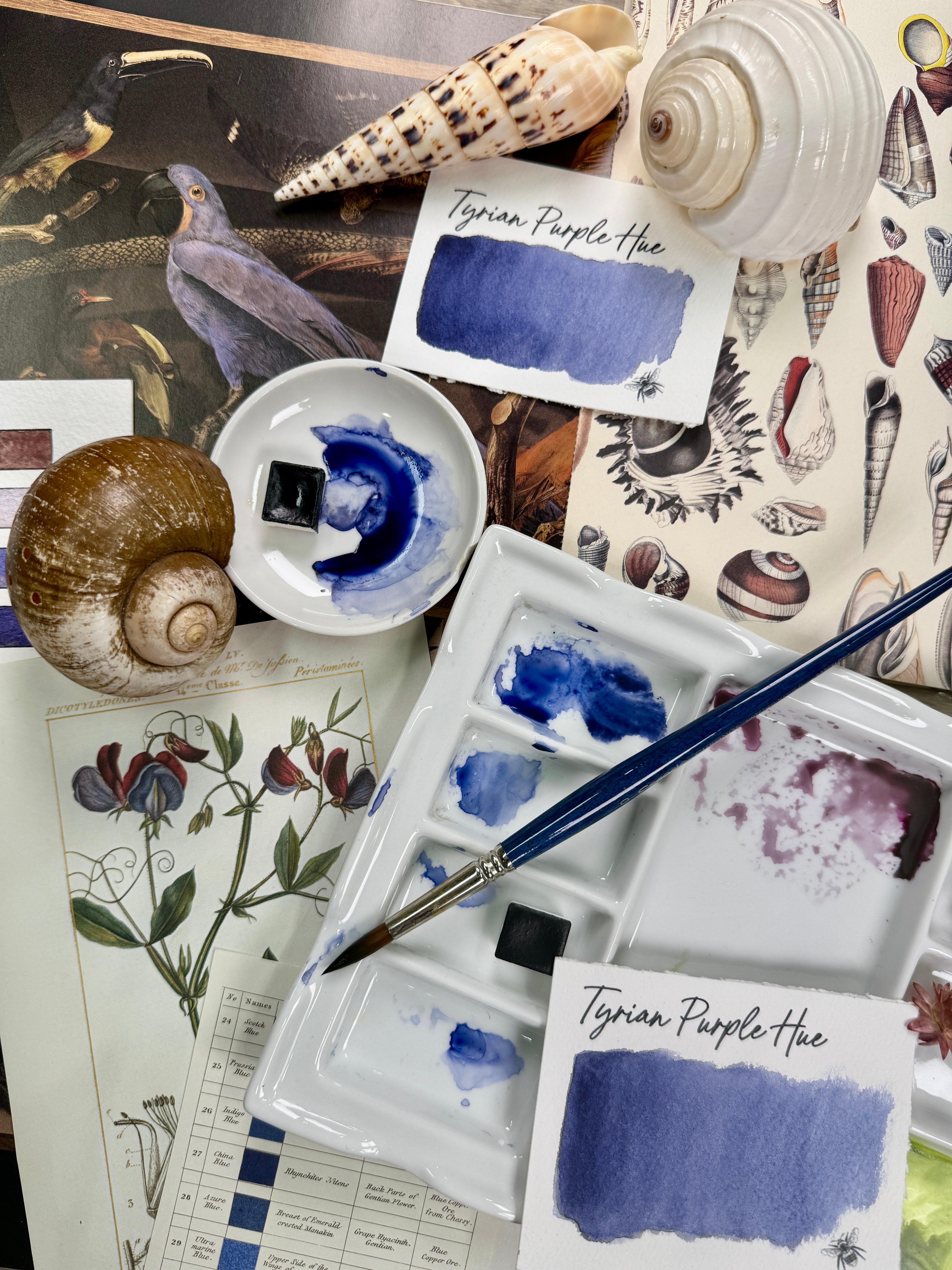 Tyrian Purple Hue – Stoneground Paint Company